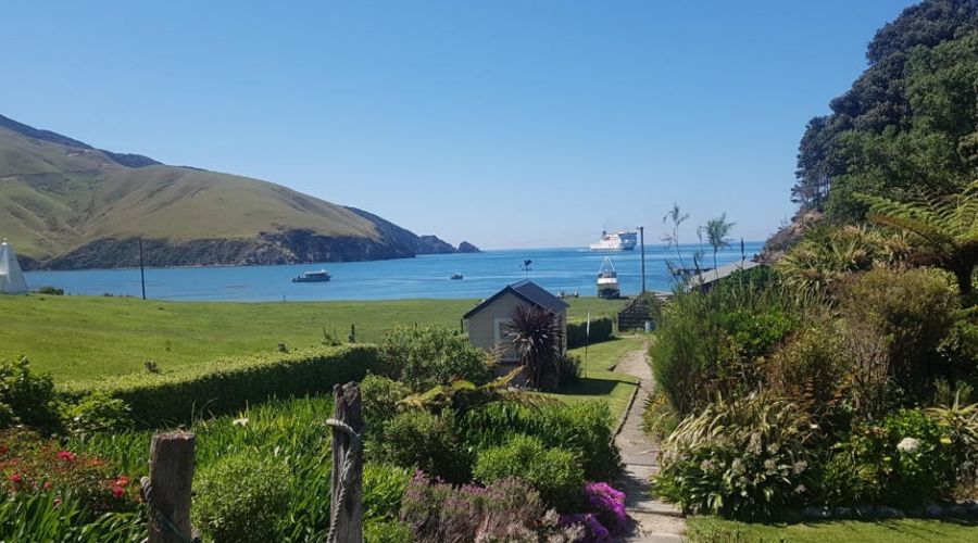 Paua Pearl Farm Tour | NZ Tourism Tours ️